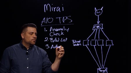 What Is the Mirai Botnet? DDoS Attacks Explained | A10