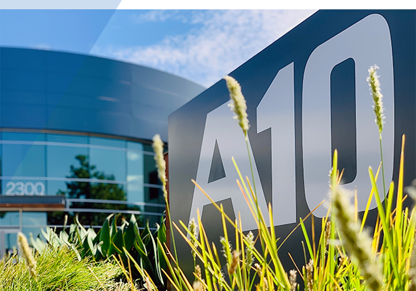 Network Security, Professional, & Administrative Careers | A10 Networks