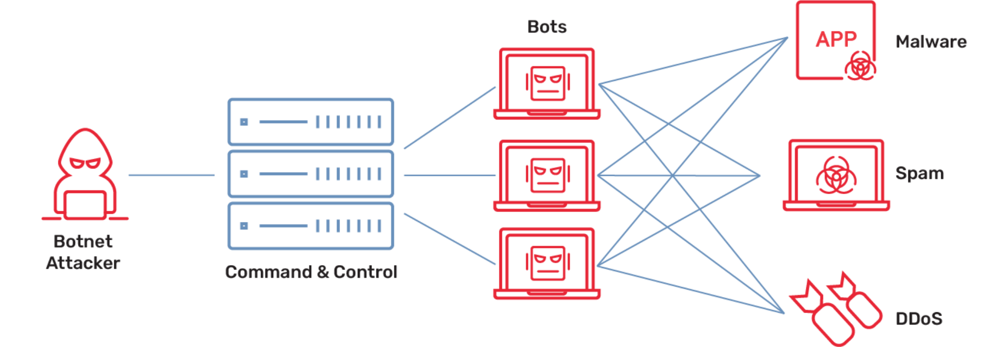 What Is a Botnet? IoT Botnet Attacks | A10 Networks